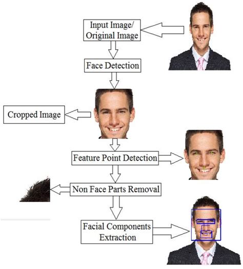 figure 1 from facial parts detection using viola jones algorithm semantic scholar