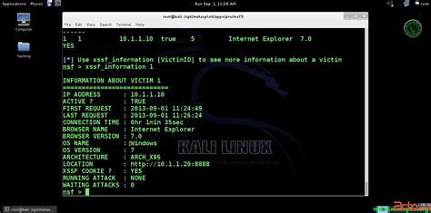 kali linux安装教程 kali linux安装 随意云
