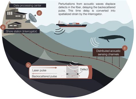 how distributed acoustic sensi [image] eurekalert science news releases