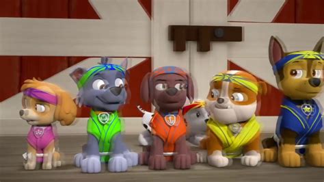 Paw Patrol Funny Moments Kung Fu Marshall YouTube