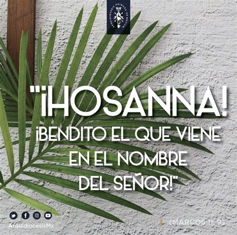 Arquidiócesis Primada de México on Twitter Hosanna al Hijo de David