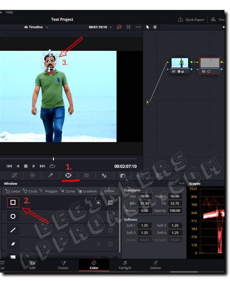 Davinci Resolve Blur Face Use This Blur Effect