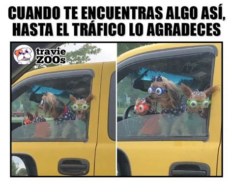 Pin De C En Memes Y Cosas Chistosas En 2024 Chistes Graciosos Memes