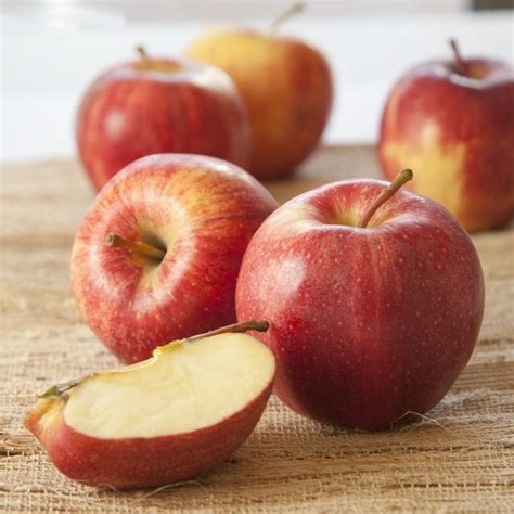 Types Of Apples Golden Delicious Apple Best Apple Pie Gala Apples