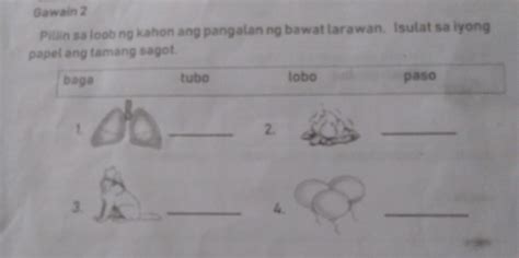 Gawain 2 Piliin Sa Loob Ng Kahon Ang Pangalan Ng Bawat Larawan Isulat