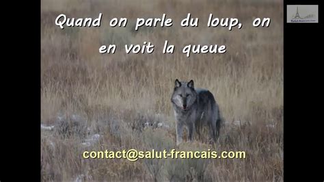Quand On Parle Du Loup On