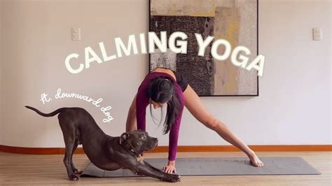25 Minutes Of Calming Yoga No Talking Follow Along Zarias