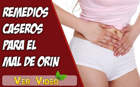 Arriba 62 Imagen Recetas Caseras Para El Mal De Orin Abzlocal Mx