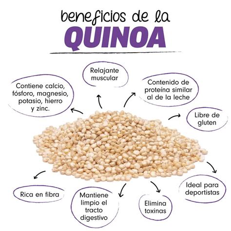 7 Beneficios De La Quinoa Alimentos Ricos En Proteг Nas Alimentos