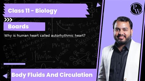 Define Double Circulation State Its Significance YouTube