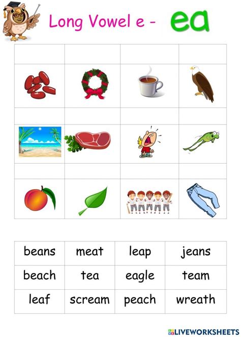 Long E Sound Worksheets Flashcards Posters Reading Comprehension Artofit