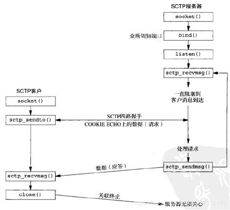 【linux网络编程】sctp 套接字编程 linux sctp编程 csdn博客