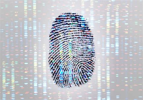 Genes Relacionados con la Formación de las Huellas Dactilares