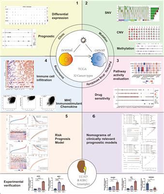 Frontiers Multi Omics Analysis Reveals Genomic Clinical And