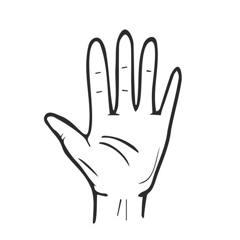 Doodle Human Hand Vector Body Parts Sketch Vector Art At Vecteezy