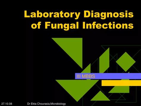 PPT Laboratory Diagnosis Of Fungal Infections PowerPoint Presentation