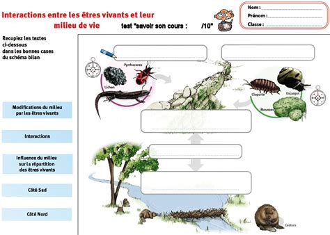 Reconnaitre Des Tres Vivants