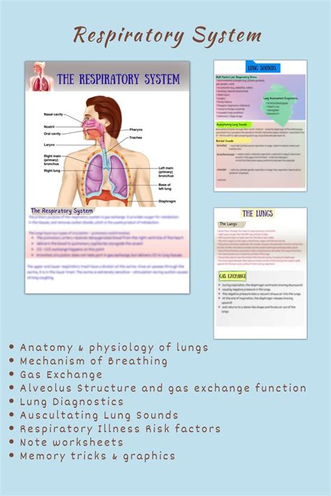 Medical Student Nursing Students Auscultating Lung Sounds Nclex Prep