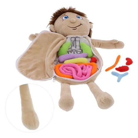 Keenso Jouet Ducatif Anatomie Organes Corps Humain Cdiscount Jeux