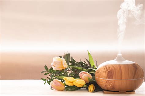 Cách Sử Dụng Tinh Dầu Thơm Phòng Hướng Dẫn và Ứng Dụng Chi Tiết