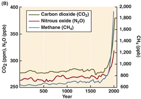 Global Climate Change Exam Flashcards Quizlet