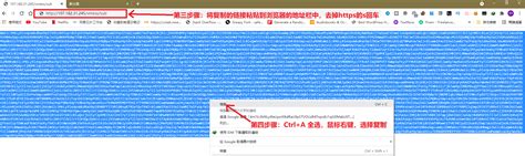 一键脚本安装非域名爬虫网站专门抓取公网众多的免费ss ssr v2ray trojan节点附靶式找到可用节点方法 Littleyu科学上网技术