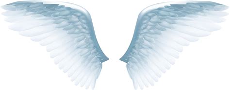 Pngwing Imágenes PNG Fondo Transparente PNG Play