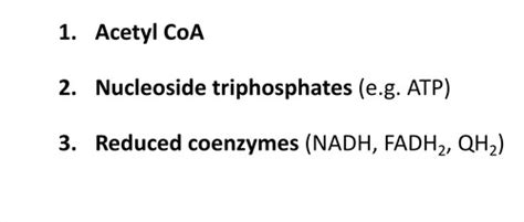 Intro To Metabolism Flashcards Quizlet