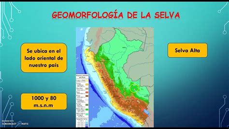 Cual Es El Relieve De La Selva Prodesma