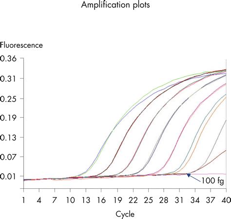 Quantifast Probe Pcr Kits