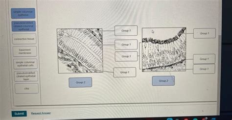 Solved Diffusion And Osmosis Are Processes During Chegg