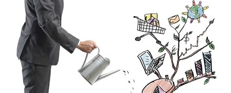 Principios básicos para la gestión de la calidad según la norma ISO