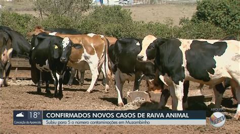 VÍDEOS EPTV 2 Sul de Minas de quinta feira 28 de julho Sul de Minas