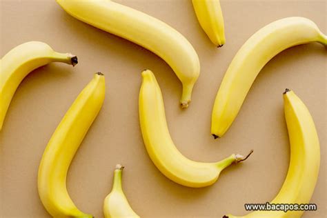 Manfaat Pisang Untuk Ibu Hamil Jika Dikonsumsi Baca Pos