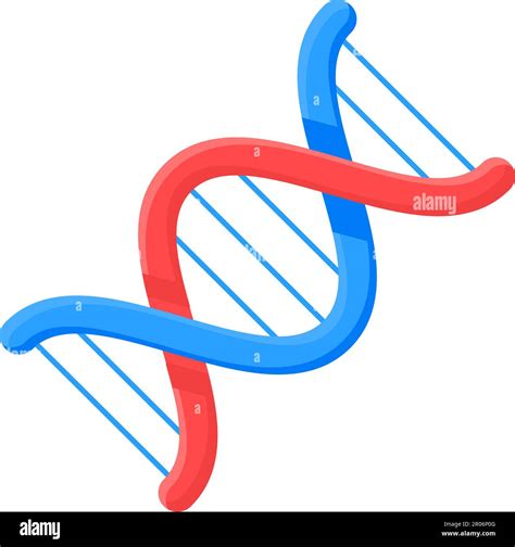 Spiral DNA Molecule Connected Chemical Bond Study Of Structure And