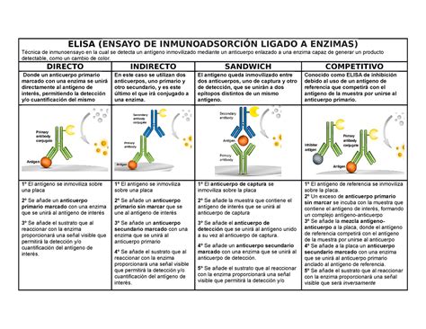 Elisas ELISA ENSAYO DE INMUNOADSORCIÓN LIGADO A ENZIMAS Técnica de