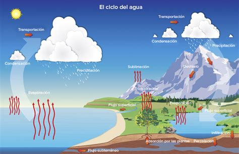 Ciclo del Agua Qué es etapas y características 2023