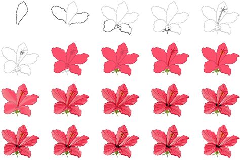 Easy To Draw Hawaiian Flowers Step By Best Flower Site