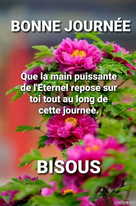 Some Pink Flowers And Green Leaves With The Words Bonne Journee