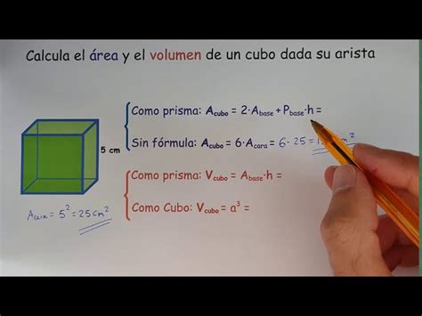 Peregrino Granjero Joya area total y volumen de un cubo acoso rehén yeso