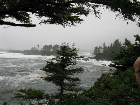 Images Gratuites mer côte arbre eau la nature forêt Roche