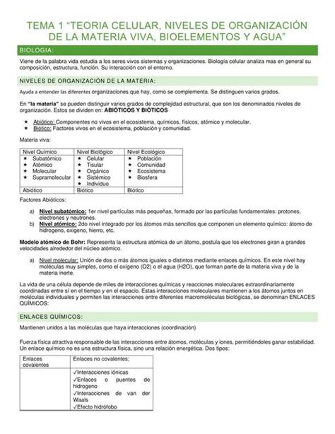 Teor A Celular Niveles De Organizaci N De La Materia Viva