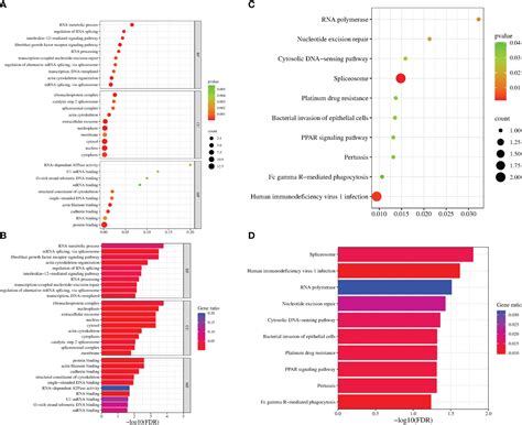 Frontiers Transcriptome And Proteomic Analysis Of Mpox Virus F3L