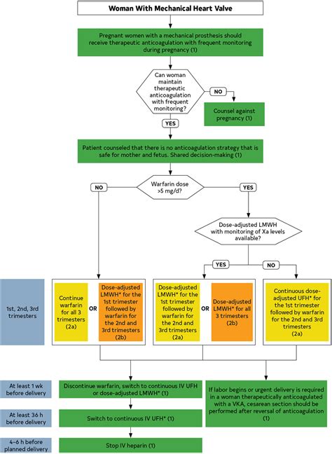 Acc Aha Guideline For The Management Of Patients With Valvular