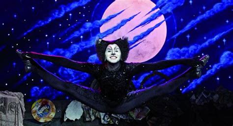 Pin by Karlitha Lu Muciño Silva on Favoritos Cats musical Jellicle