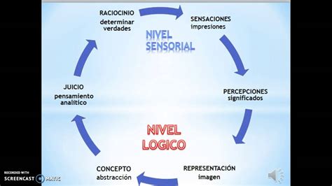 Tema Niveles Del Conocimiento YouTube