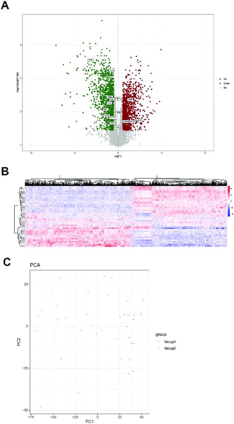 Differential Gene Expression Analysis Diagram And Principal Component