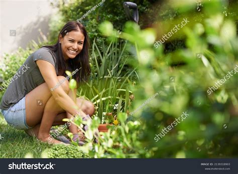 390 882 Summer Garden Works Images Stock Photos Vectors Shutterstock