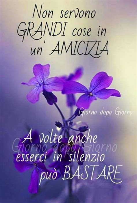 Buongiorno Amicizia Immagini Di Amicizia Citazioni Sagge