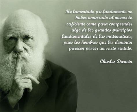 Total 35 Imagen Frases Celebres De Matematicos Abzlocal Mx